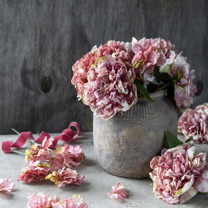 Annie Mo's | Leading Home Furniture Retailer Delivering Countrywide